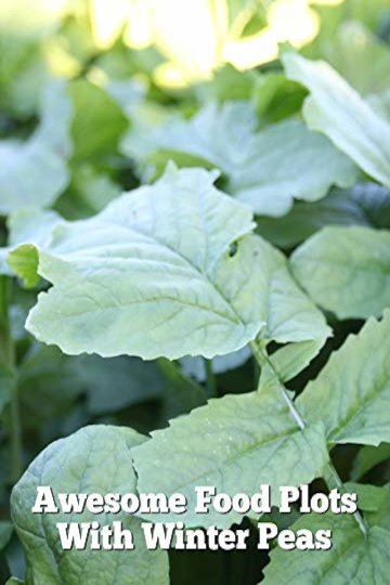 Watch Awesome Food Plots With Winter Peas Online | 2014 Movie | Yidio