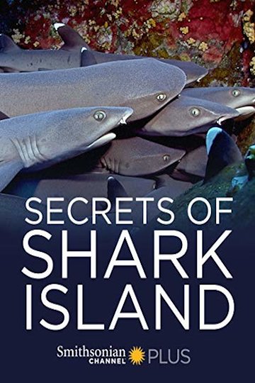 Watch Secrets of Shark Island Online | 2015 Movie | Yidio