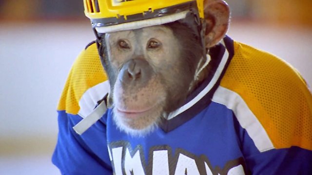 Watch MVP 2: Most Vertical Primate Online | 2002 Movie | Yidio