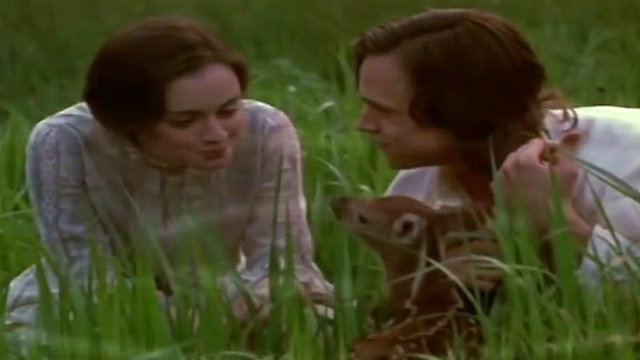 Watch Tuck Everlasting Online - Full Movie from 2002 - Yidio