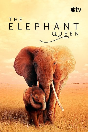 Watch The Elephant Queen Online | 2019 Movie | Yidio