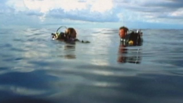 Watch Open Water Online | 2003 Movie | Yidio