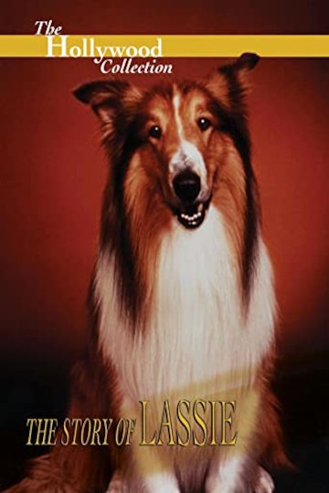 Watch The Hollywood Collection: The Story of Lassie Online | 2009 Movie ...