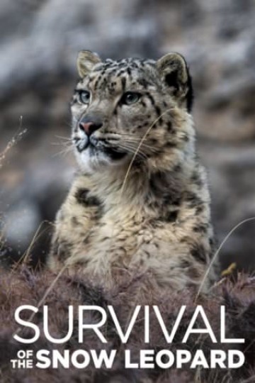 Watch Survival of the Snow Leopard Online | 2020 Movie | Yidio