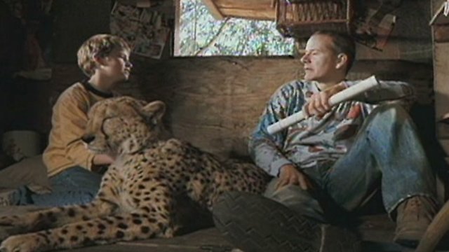 Stream Duma Online | 2005 Movie | Yidio