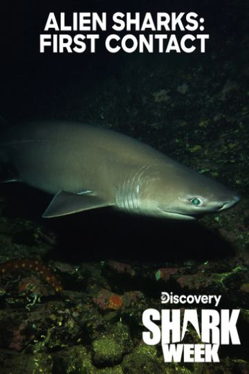 Watch Alien Sharks: First Contact Online | 2020 Movie | Yidio