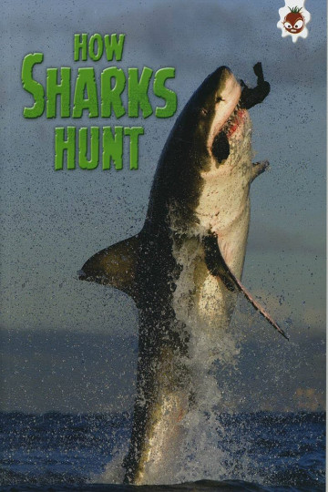 Watch How Sharks Hunt Online | 2011 Movie | Yidio
