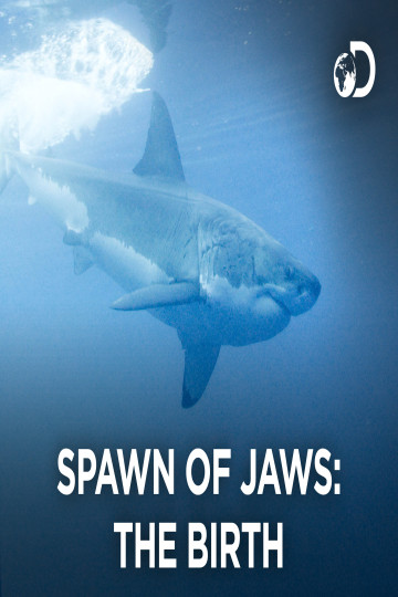 Watch Spawn of Jaws: The Birth Online | 2014 Movie | Yidio