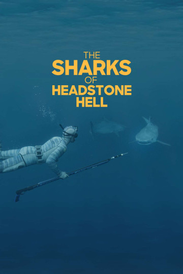Watch The Sharks of Headstone Hell Online | 2019 Movie | Yidio
