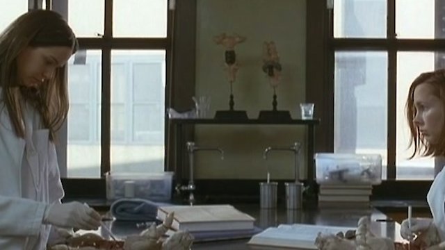 Watch The Babysitters Online | 2007 Movie | Yidio
