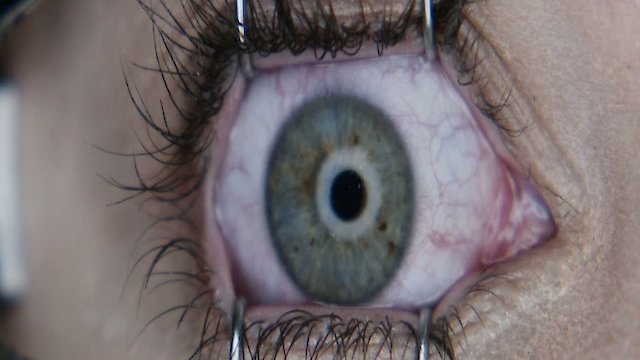 Watch Final Destination 5 Online - Full Movie from 2011 - Yidio