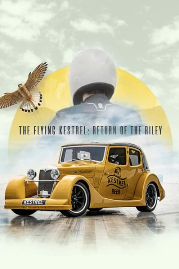 Watch The Flying Kestrel: Return of the Riley Online | 2021 Movie | Yidio