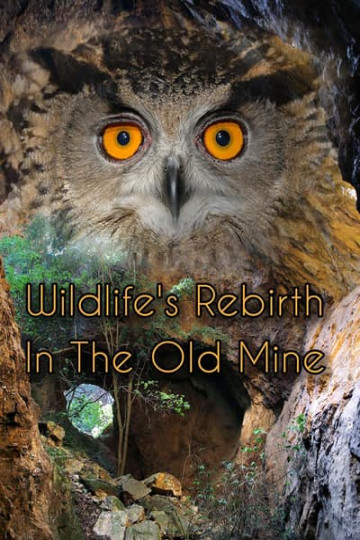Watch Wildlife's Rebirth in the Old Mine Online | 2021 Movie | Yidio