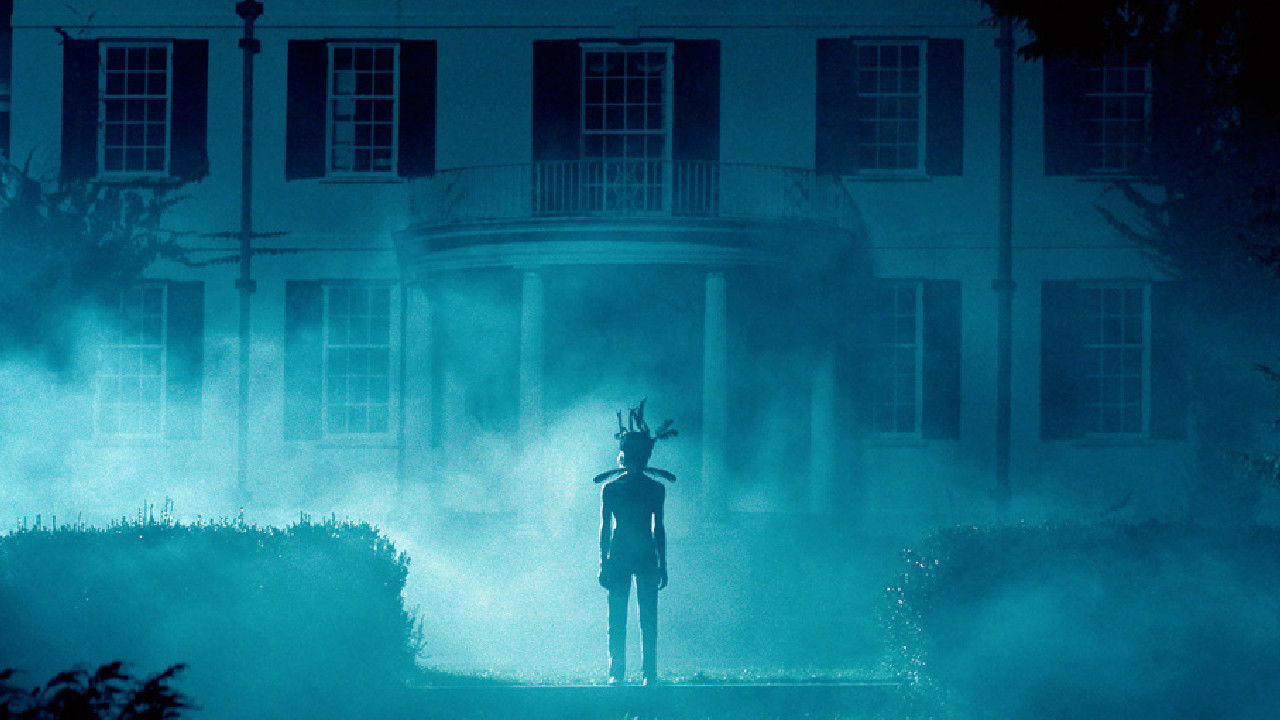 Watch The Arborist Online | 2026 Movie | Yidio