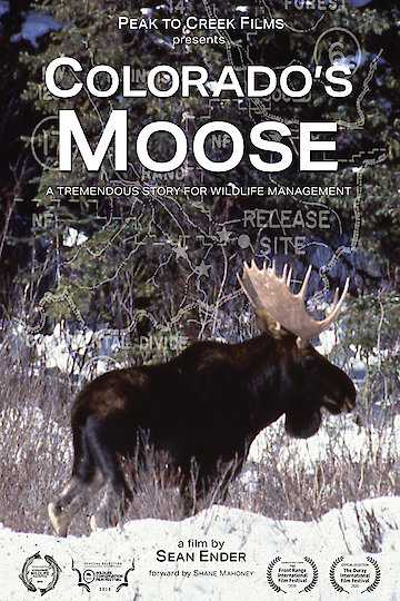 Watch Colorado's Moose Online | 2019 Movie | Yidio