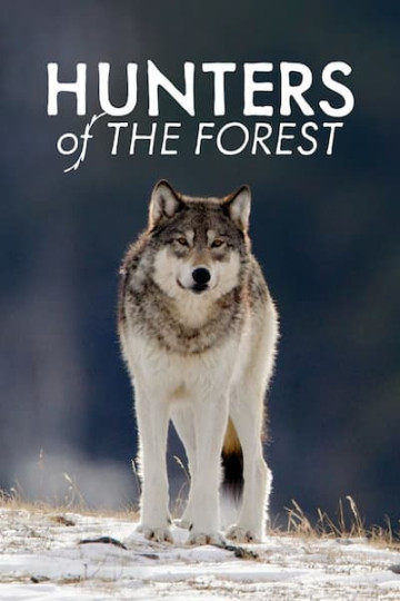 Watch Hunters of the Forest Online | 2021 Movie | Yidio