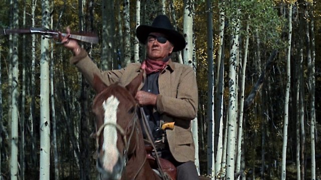 Watch True Grit Online | 1969 Movie | Yidio