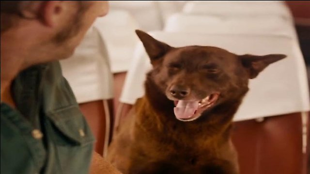 Stream Red Dog Online | 2011 Movie | Yidio