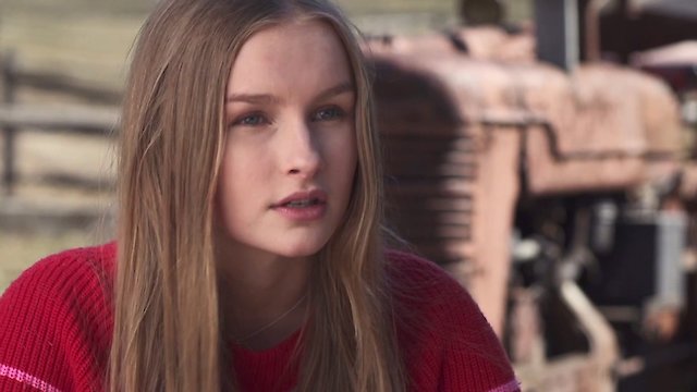 Watch The Visit Online - Full Movie from 2015 - Yidio