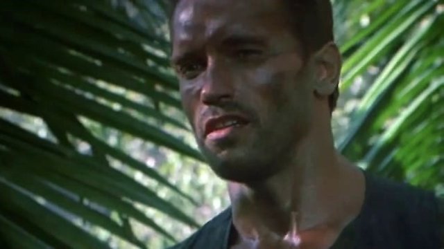 Watch Predator Online | 1987 Movie | Yidio