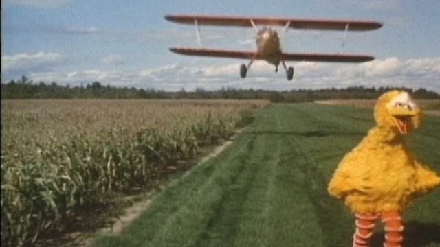 Sesame Street Presents: Follow That Bird Online | 1985 Movie | Yidio