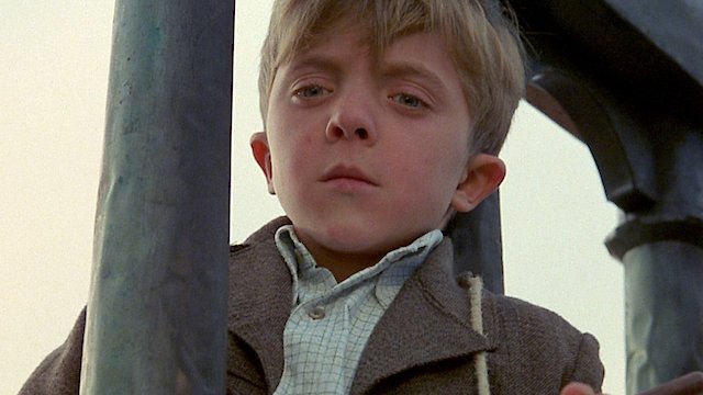 Stream The Tin Drum Online | 1979 Movie | Yidio