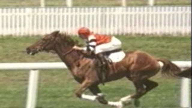 Stream Phar Lap Online | 1983 Movie | Yidio