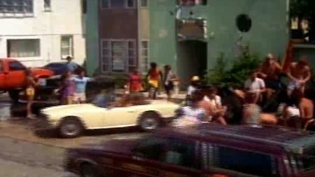 Stream Spring Break Online | 1983 Movie | Yidio