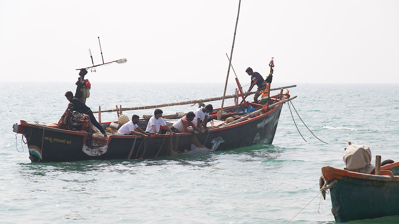 Watch Wild Hope Online (2023) - Stream Episodes & Seasons