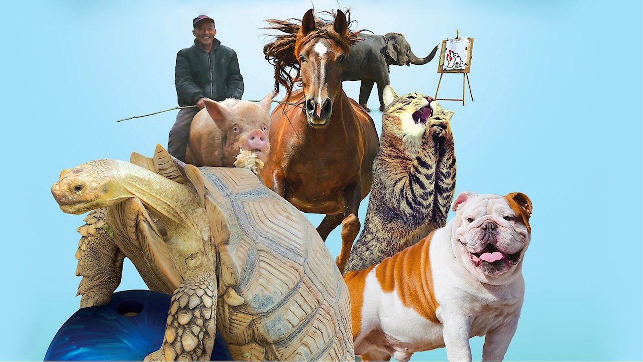 Watch Animals Unleashed Season 1 Episode 10 - Iron Dog 3 Online Now