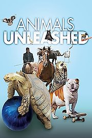 Watch Animals Unleashed Online (2016) - Stream Episodes & Seasons