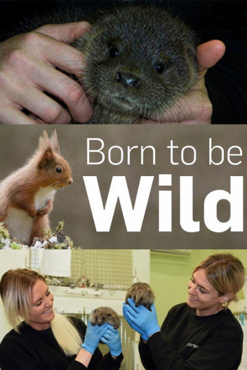Watch Born to be Wild Online (2019) - Stream Episodes & Seasons