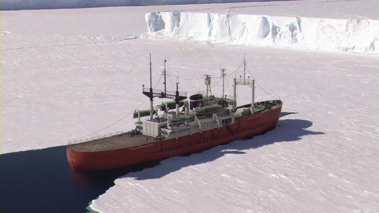 Watch Antarctica Season 1 Episode 3 - Our Miracle Dogs Online Now