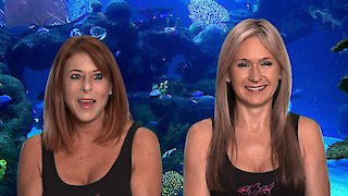 Watch Tanked Season 13 Episode 8 - The Tank of Atlantis Online Now