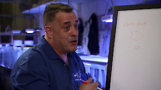 Watch Tanked Online - Full Episodes - All Seasons - Yidio