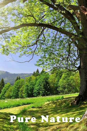 Watch Pure Nature Online (2011) - Stream Episodes & Seasons