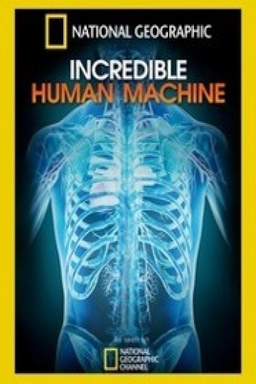 Watch Incredible Human Machine Online (2007) - Stream Episodes & Seasons