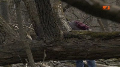 Watch Missing Season 2 Episode 1 - Sea of Love Online Now