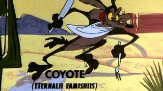 Watch Road Runner & Wile E. Coyote Online - Full Episodes of Season 1 ...