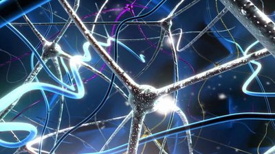 Watch Pure Science Specials Season 1 Episode 85 - The Brain That ...