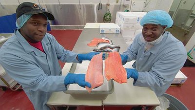 Watch Food Factory Season 1 Episode 5 - Family's Favorite Vegetable ...