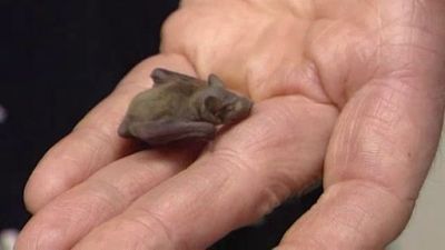 Watch Wildlife SOS Season 2 Episode 16 - Episode 16 Online Now