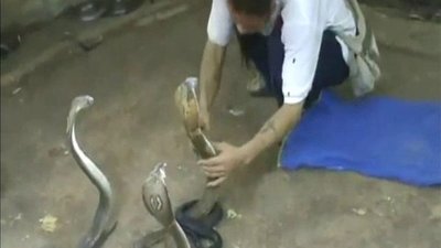 Watch Que Jalada Season 1 Episode 30 - 30 Online Now