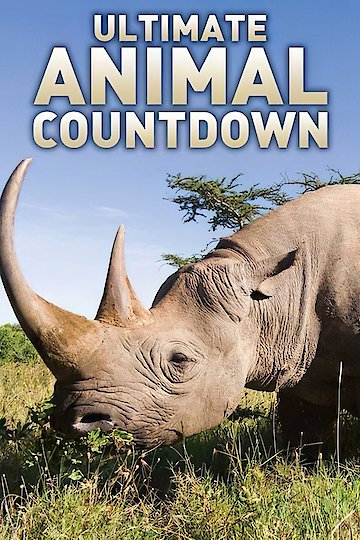 Watch Ultimate Animal Countdown Online (2013) - Stream Episodes & Seasons