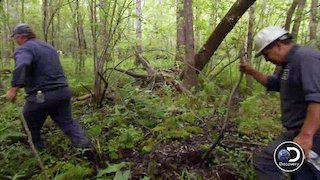Watch Swamp Loggers Online - Full Episodes of Season 3 to 1 | Yidio
