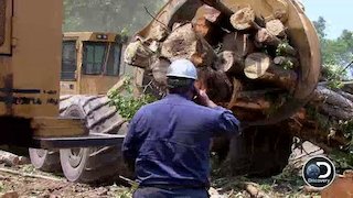 Watch Swamp Loggers Online - Full Episodes of Season 3 to 1 | Yidio