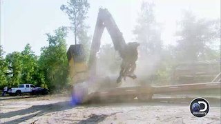Watch Swamp Loggers Online - Full Episodes of Season 3 to 1 | Yidio