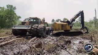 Watch Swamp Loggers Online - Full Episodes of Season 3 to 1 | Yidio