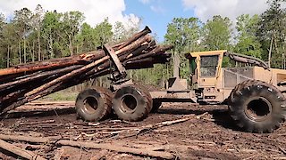 Watch Swamp Loggers Season 3 Episode 13 - On the Move Again Online Now