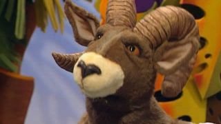 Watch Jim Henson's Animal Show With Stinky And Jake Online - Full ...